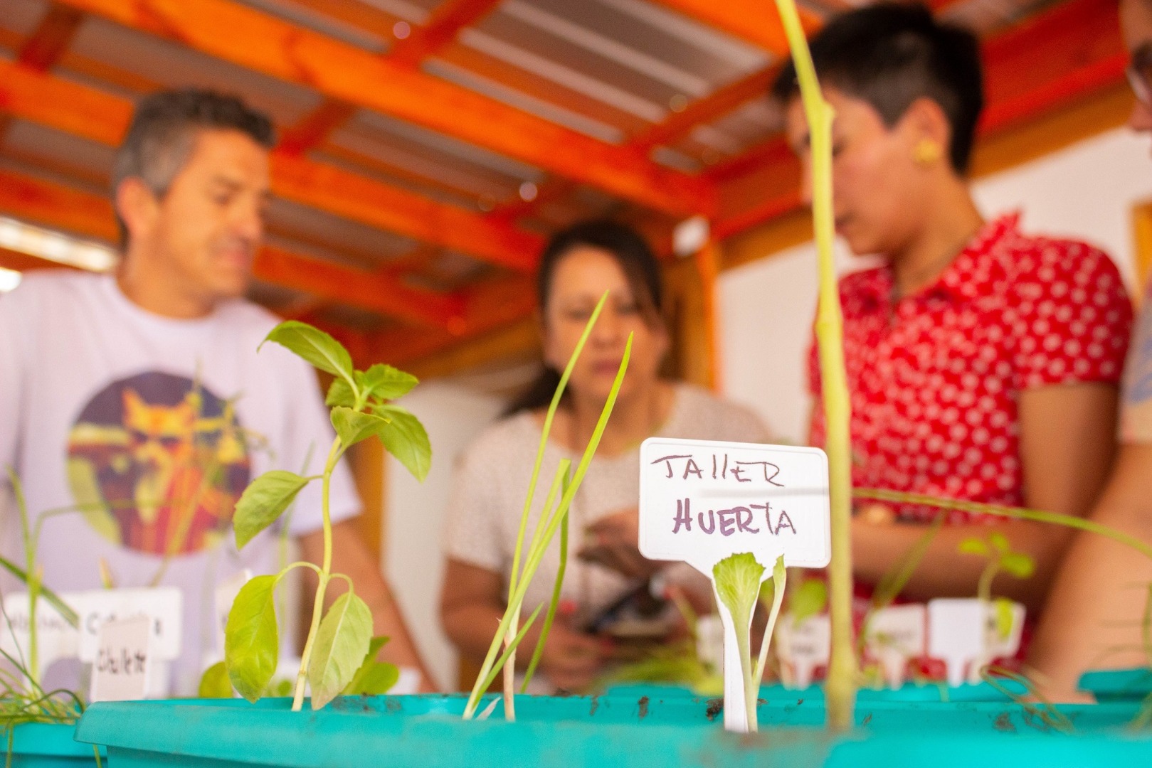 CONECTA abrió taller de huerta para sus usuarios - Las Condes CONECTA abrió taller de huerta para sus usuarios - Las Condes